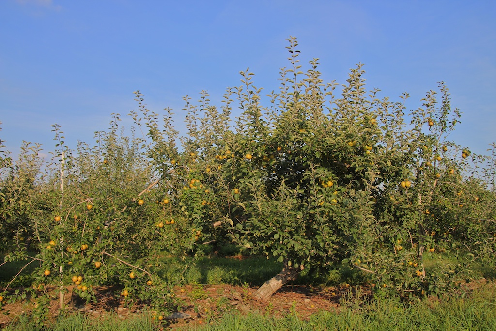 The Beauty of Being: September 2011