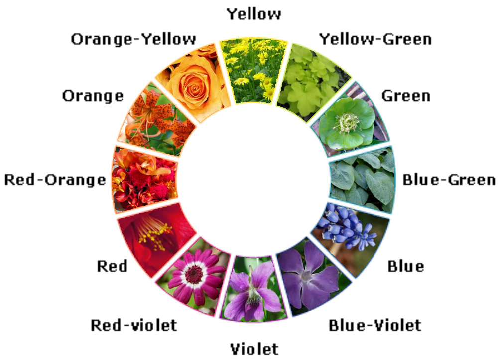 marycot: Combinaciones y variaciones