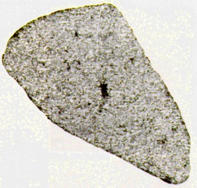 BLOGOCIOLOGICO: METEORITOS MARCIANOS