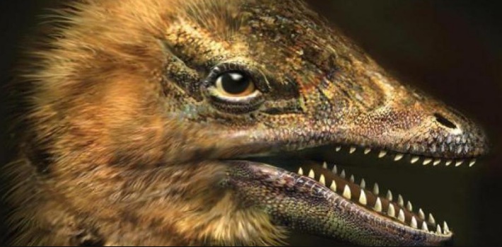 DINOSAURS PHYSICAL CHARACTERISTICS - Science World