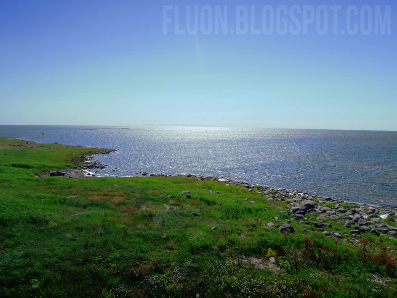 Fluon - night and life: Photos of Estonian summer