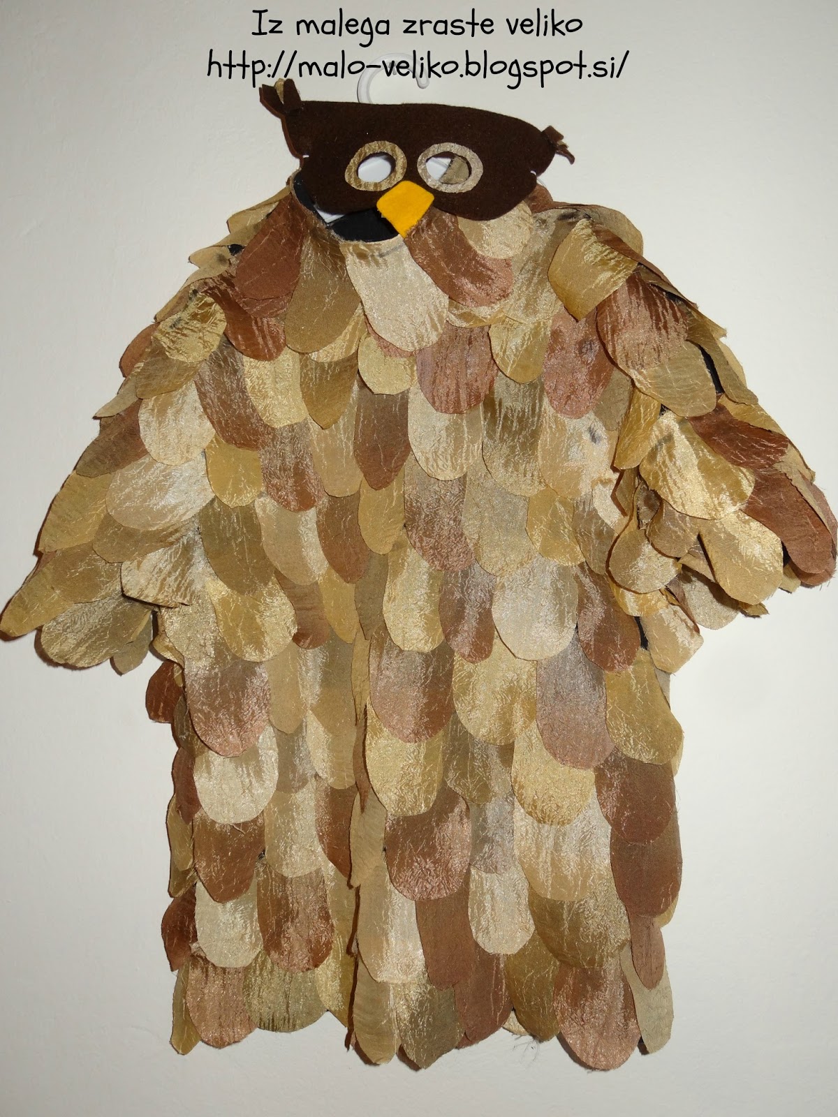 Iz malega zraste veliko: Pustna maska - sova