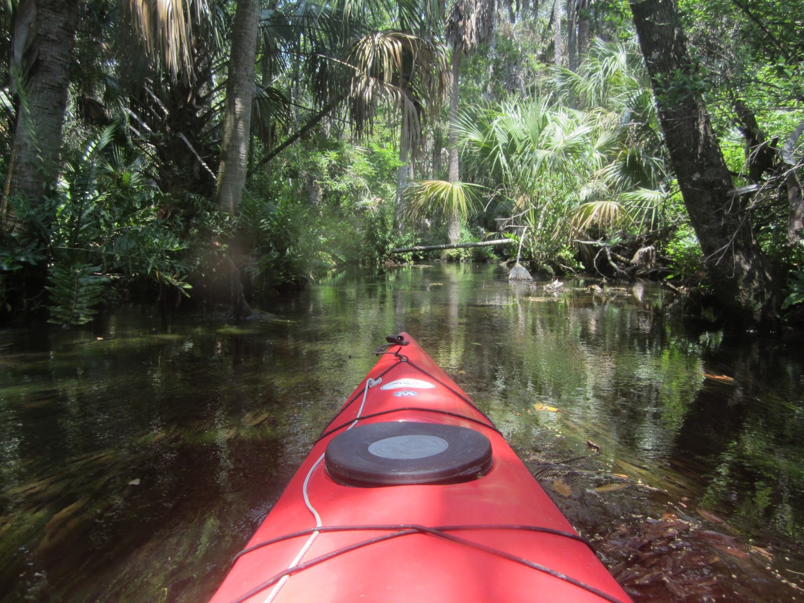 Dave's Yak Tales: Chassahowitzka