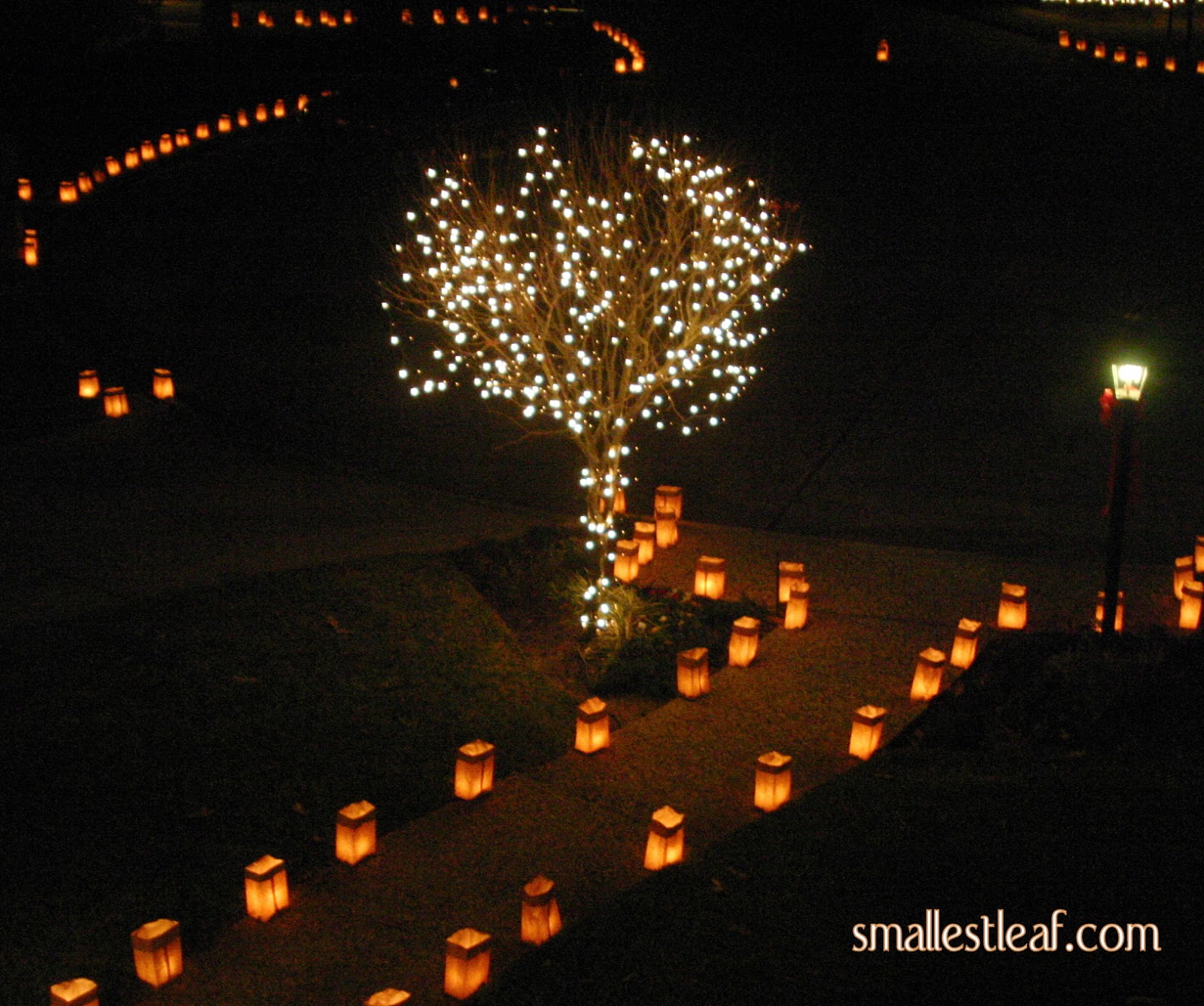 100 Years in America: Christmas Eve Luminaria: "Who can sleep on this ...