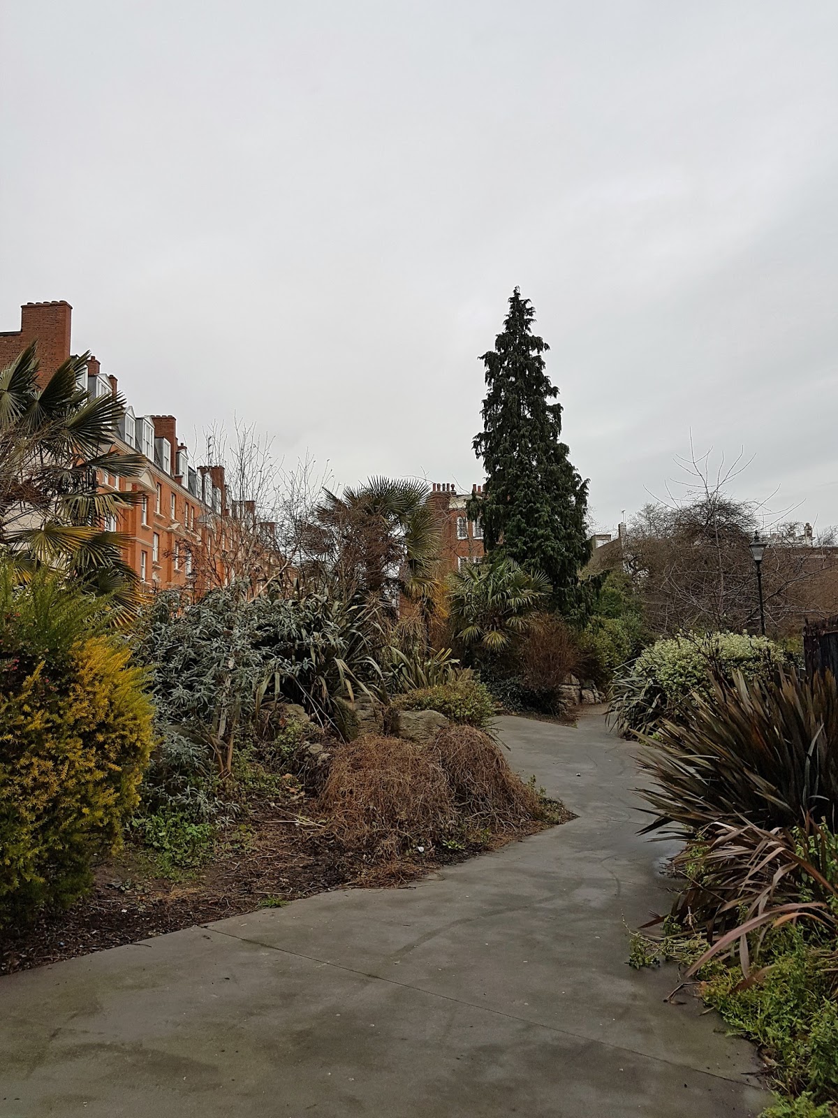 Cultural Outlook: Asteys Row Rock Garden, Islington