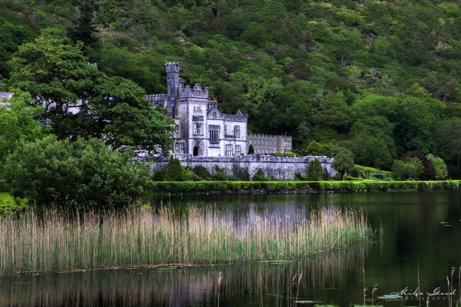 Mike Good Photography