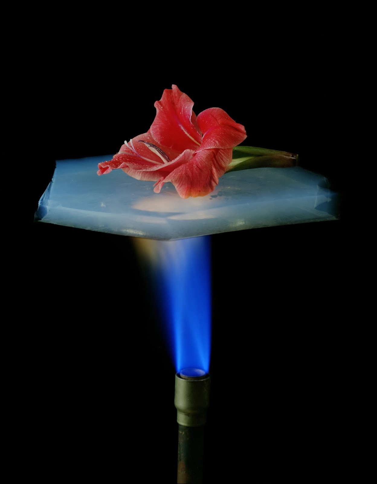 Material ligero: Aerogel o humo helado