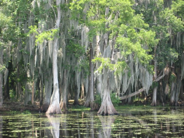 The Physical Geography of Florida