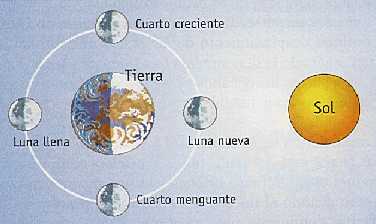 05 de marzo ,2011 | Vive la Ciencia