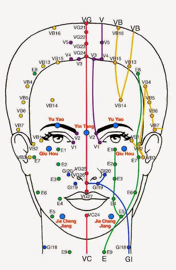 SHIATSU-PASSION Françoise Couteron : MERIDIENS + TAO