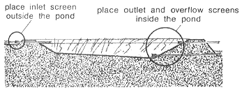 Cara Membuat Saluran Air Untuk Kolam Budidaya Ikan | BBI Indonesia