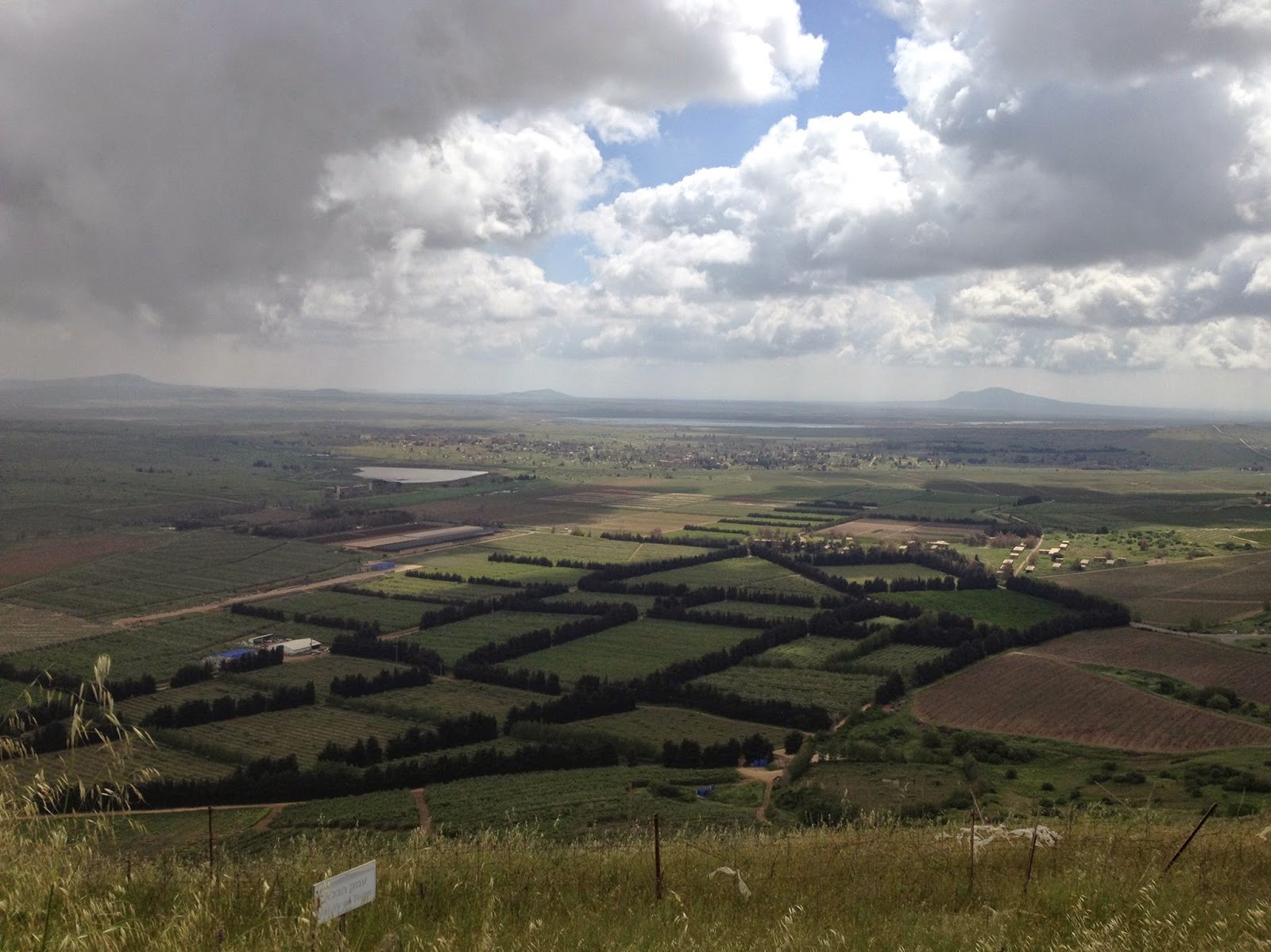 Raise it Up: Israel Experience 5: Life in a Moshav