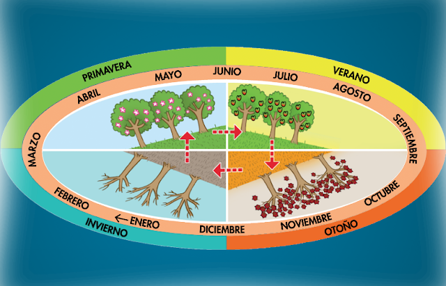 Que son las Estaciones Climáticas