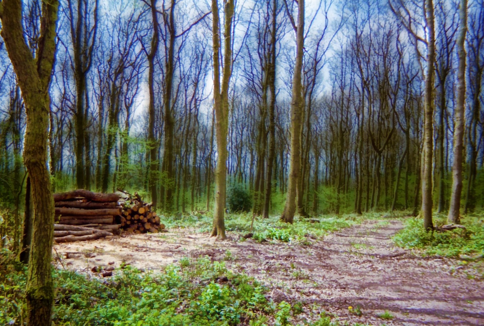 COTSWOLDS CASCADE: LOGGING AREAS