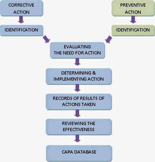 Corrective Action Process