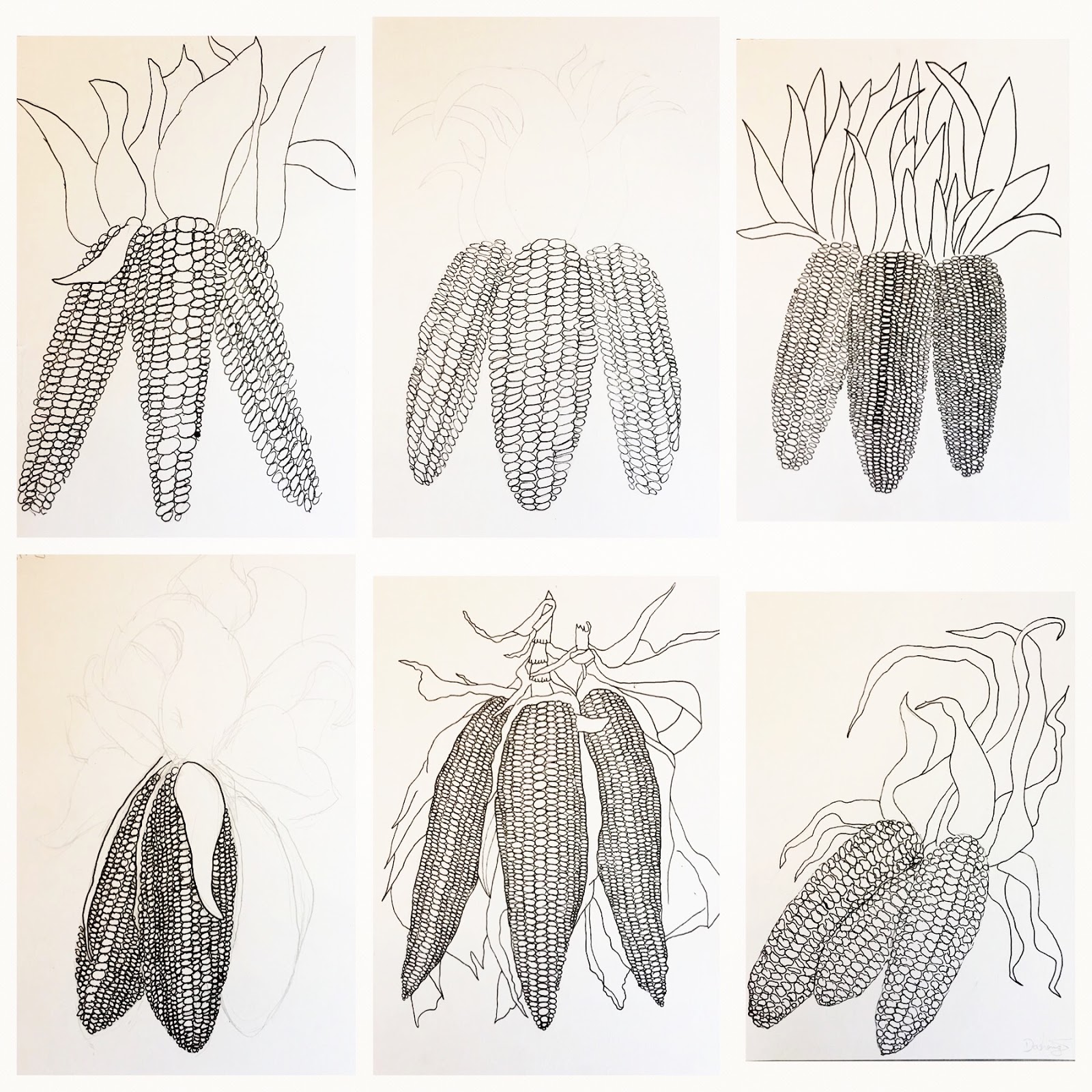 Art Room Britt: Indian Corn Pen and Watercolor Illustrations