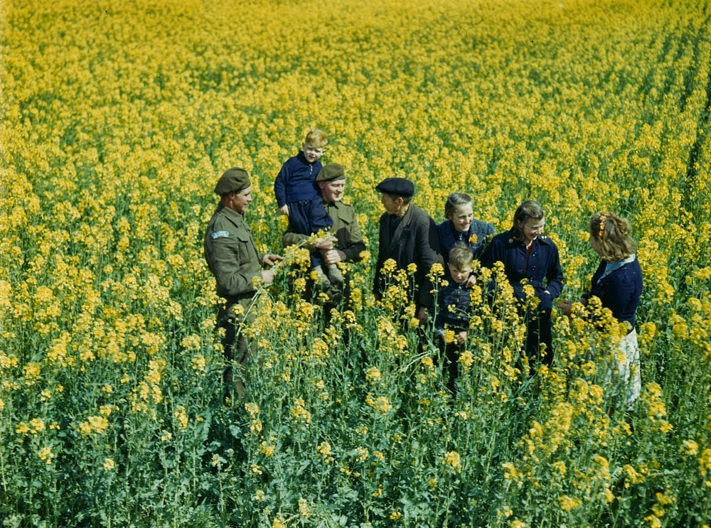 Rare and Wonderful Color Photos of Canadian Soldiers in World War II ...