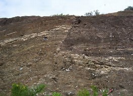 TEMA 2.ACTIVIDAD 3. PLIEGUES Y FALLAS.