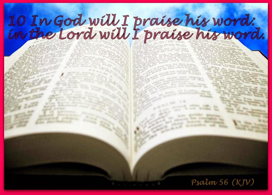 Red Pill Diaries: Psalm 56 (KJV)