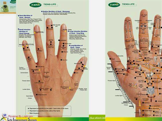 Artikel Kesehatan Kita: Alat Kesehatan : Aculife Alat Deteksi Penyakit ...