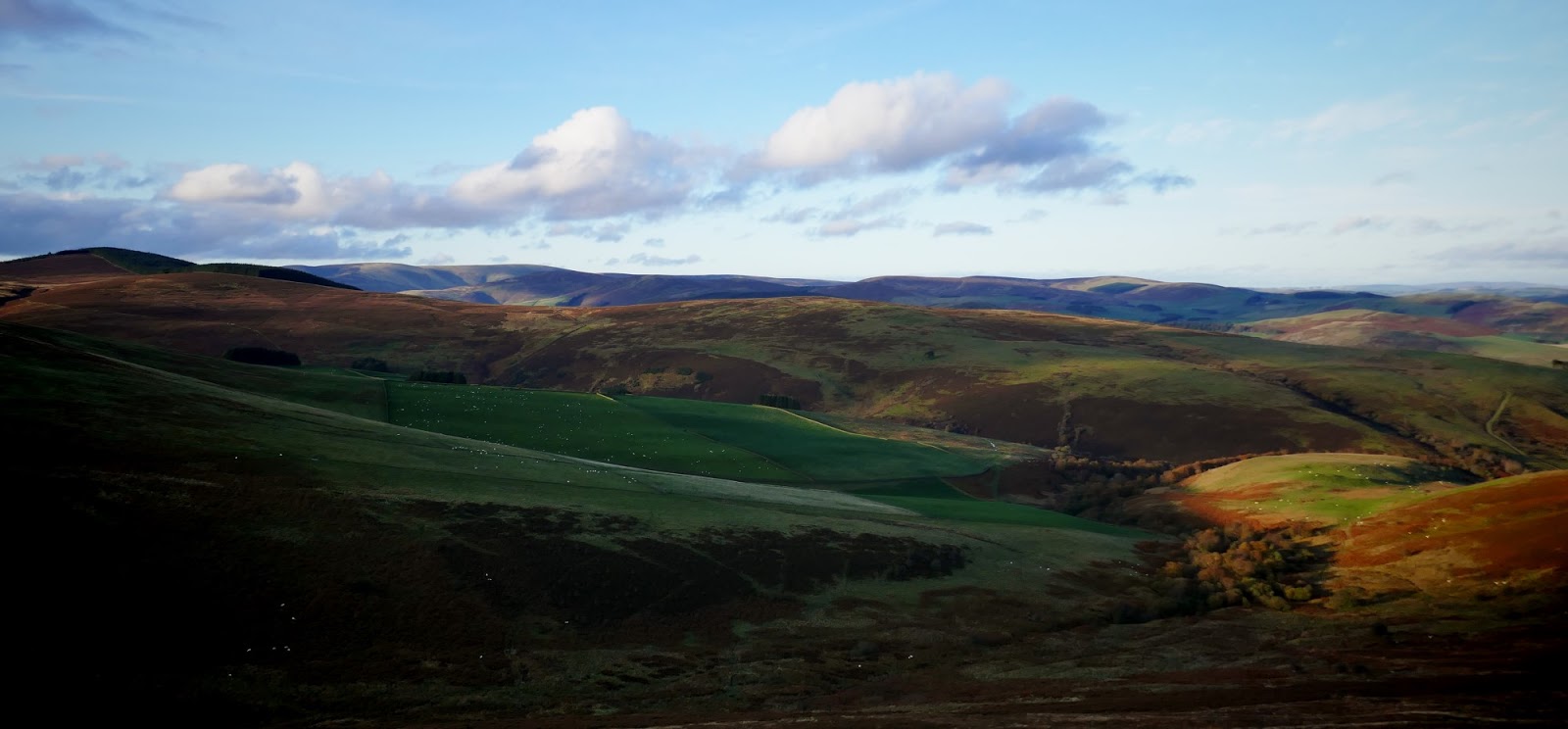 best part of the day: Tweed Valley Ultra Recce and Oct TB