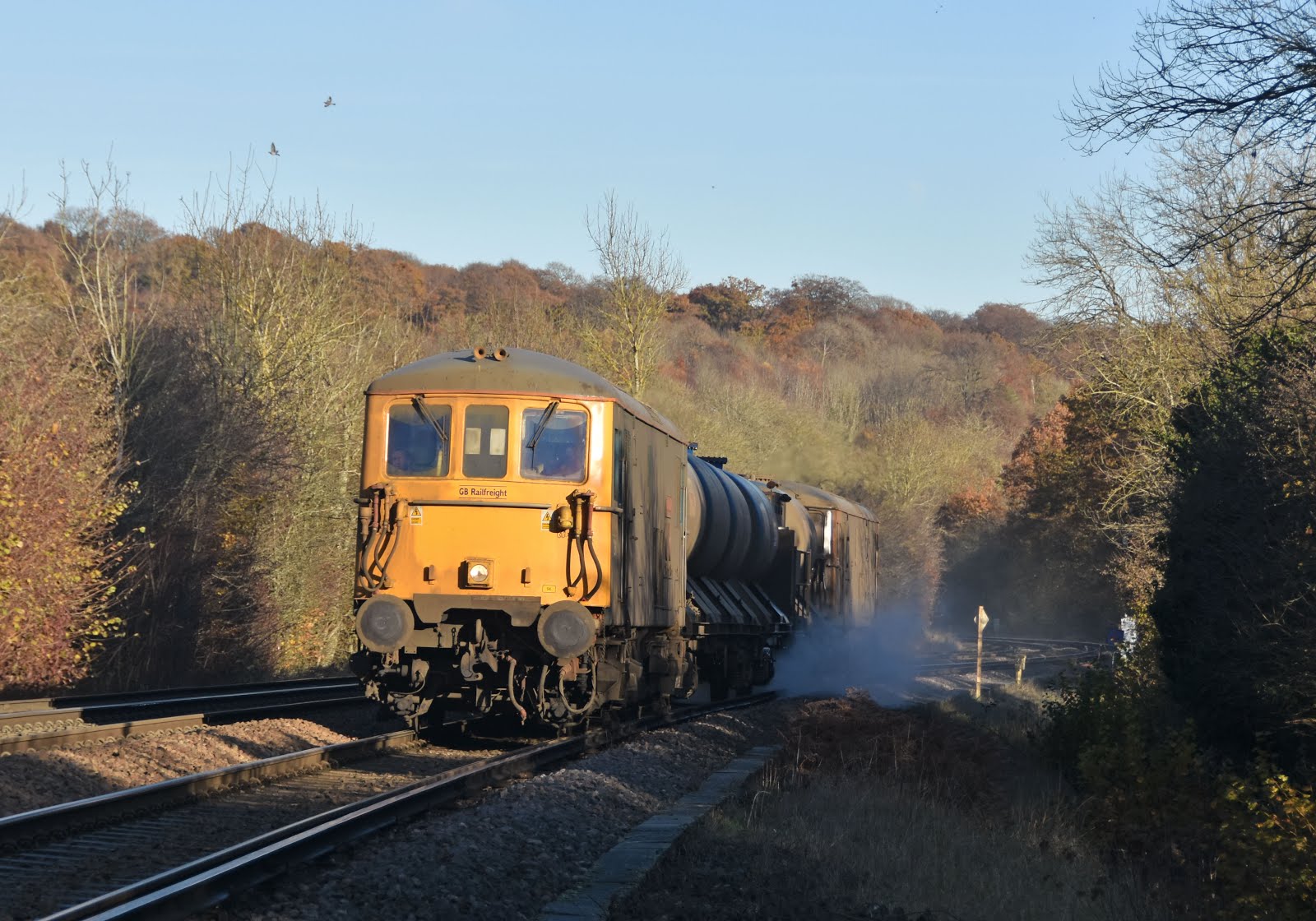 Trains Today: Autumn RHTT's