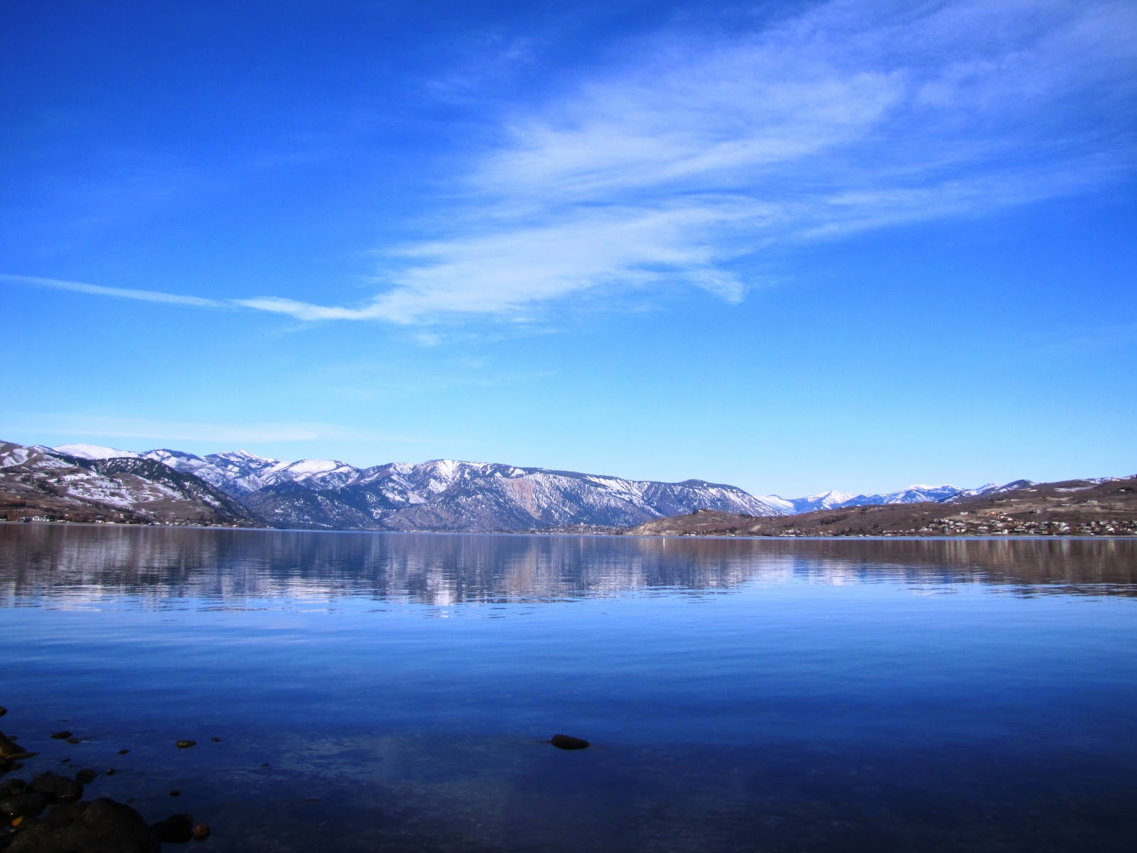 Chelan County Birding: Chelan County Birding