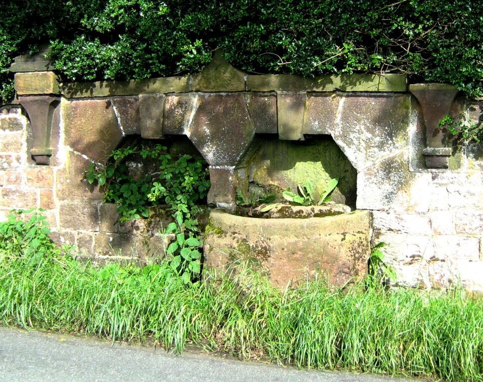 Staffordshire Photo: 'Unseen' trough stirs thoughts