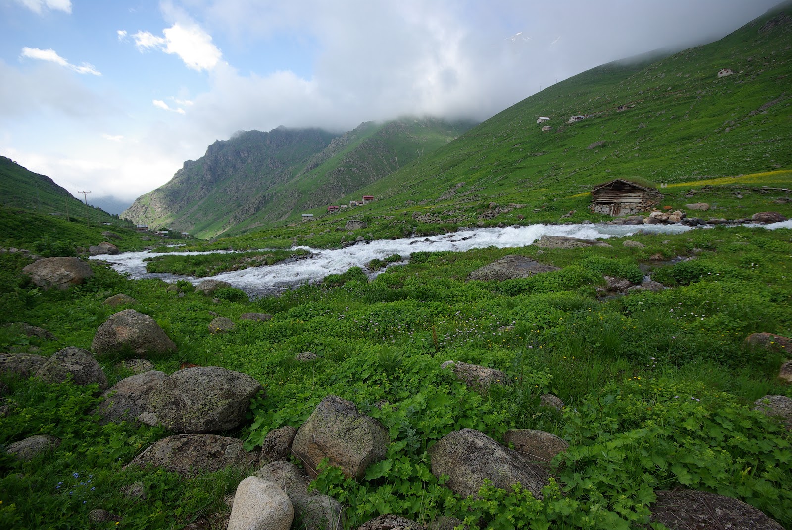 İntor Yaylası: Rize Yaylaları