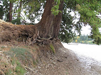 Gravel Beach: Port Madison Bay