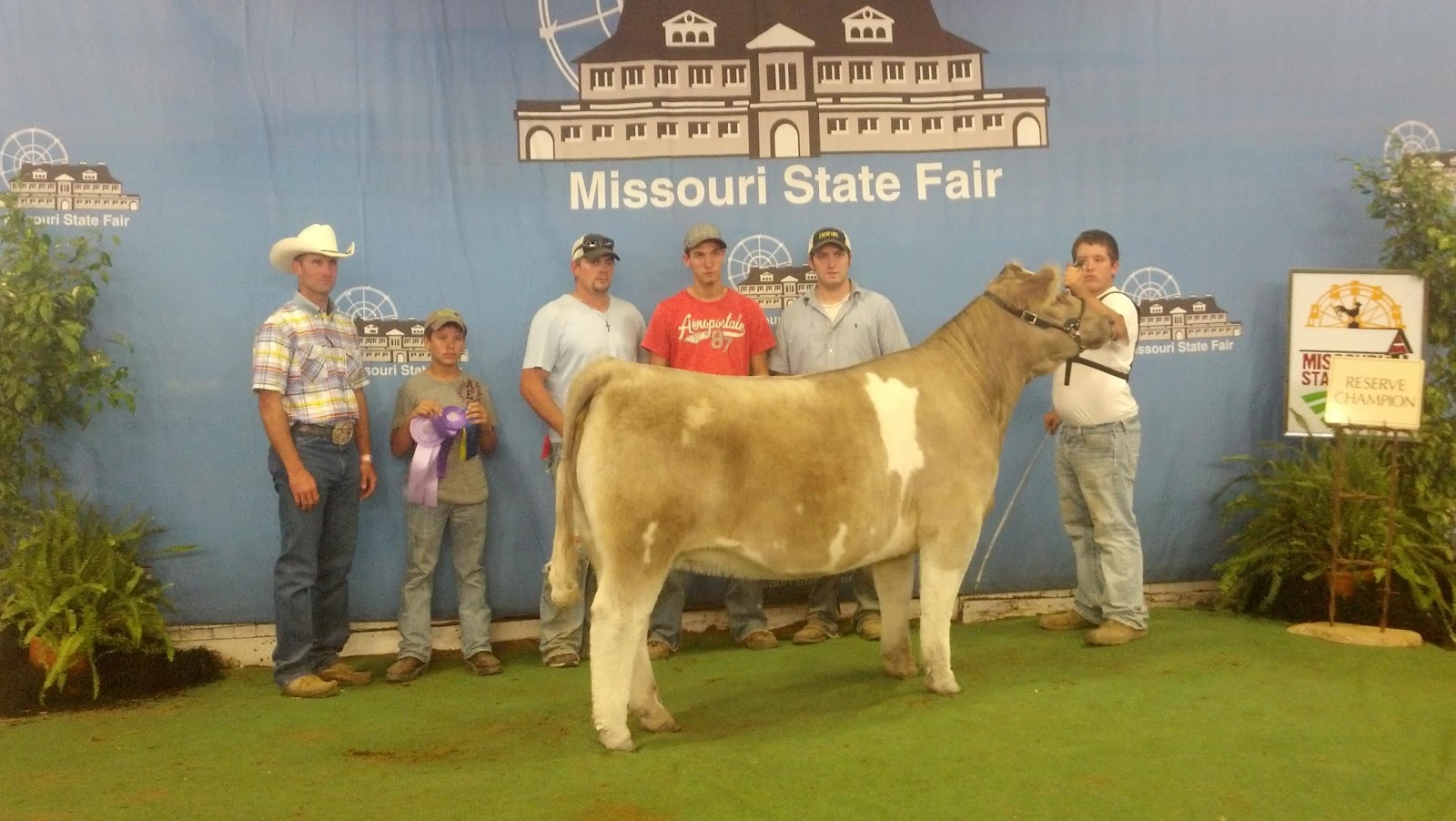Holtkamp Cattle Co: Immortal sires the Reserve Supreme Heifer at the ...