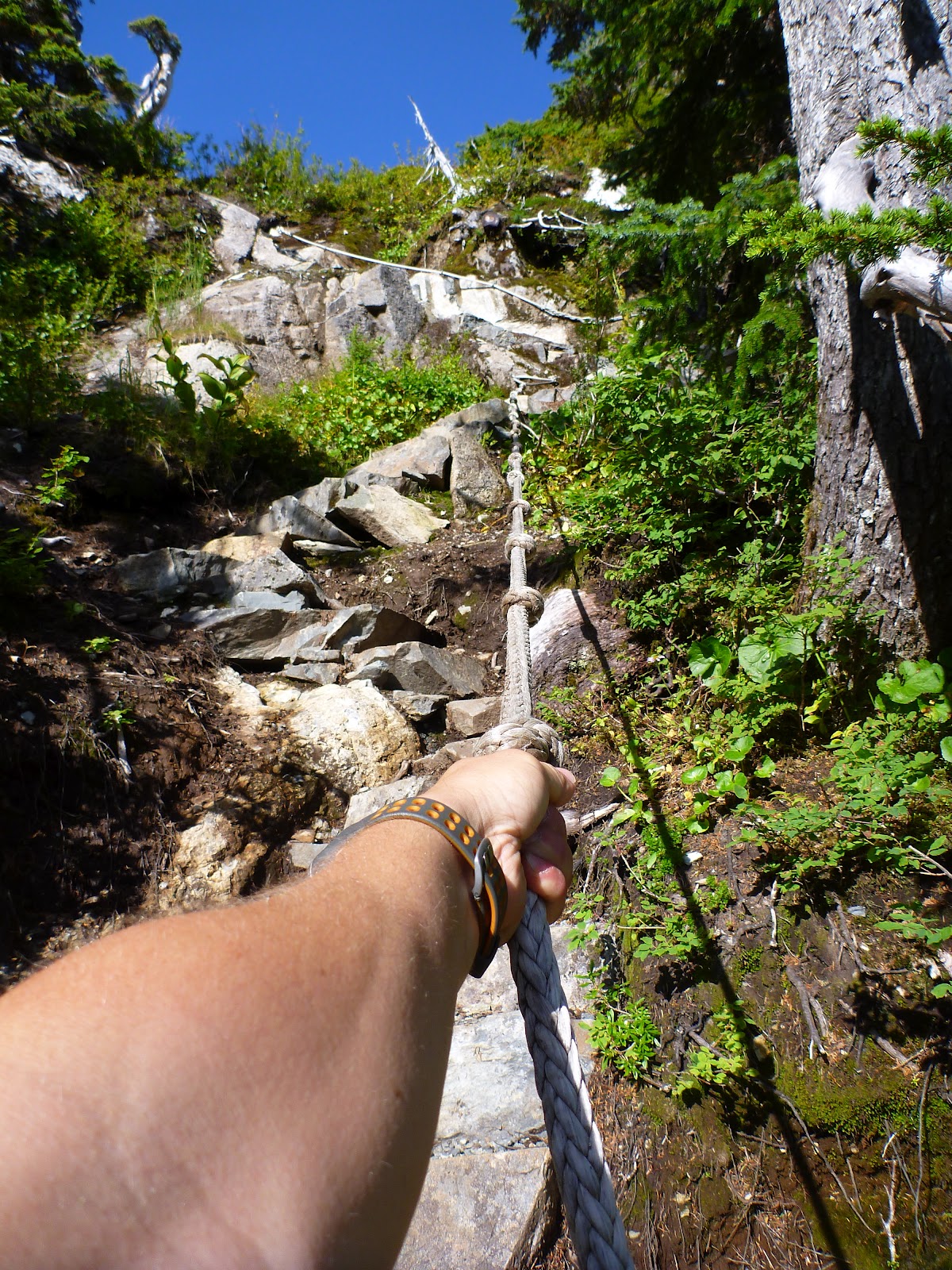 His "G"nes: Gavin Hill Trail in Sitka Alaska