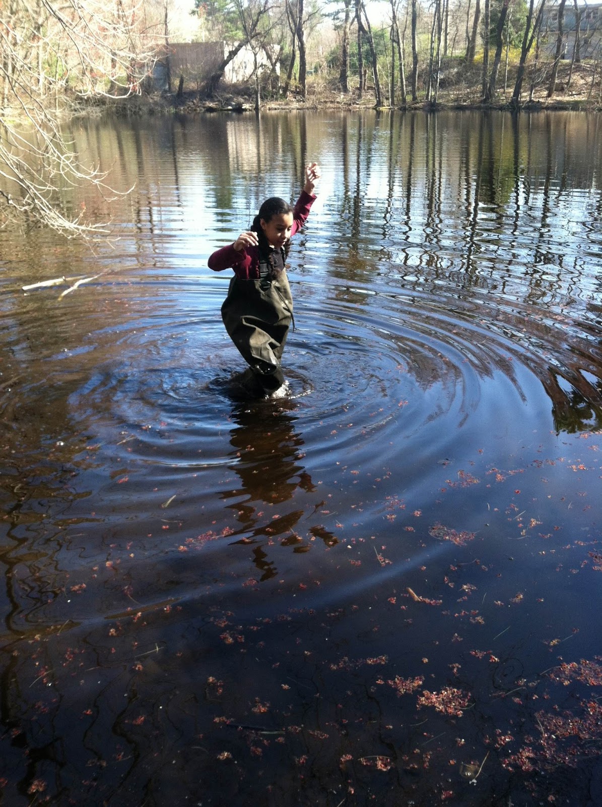 Urban Naturalists at Roger Williams Middle School: Wading in the Water