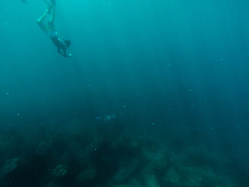 Acorde con la vida: "La Talasofobia o Miedo al Mar"