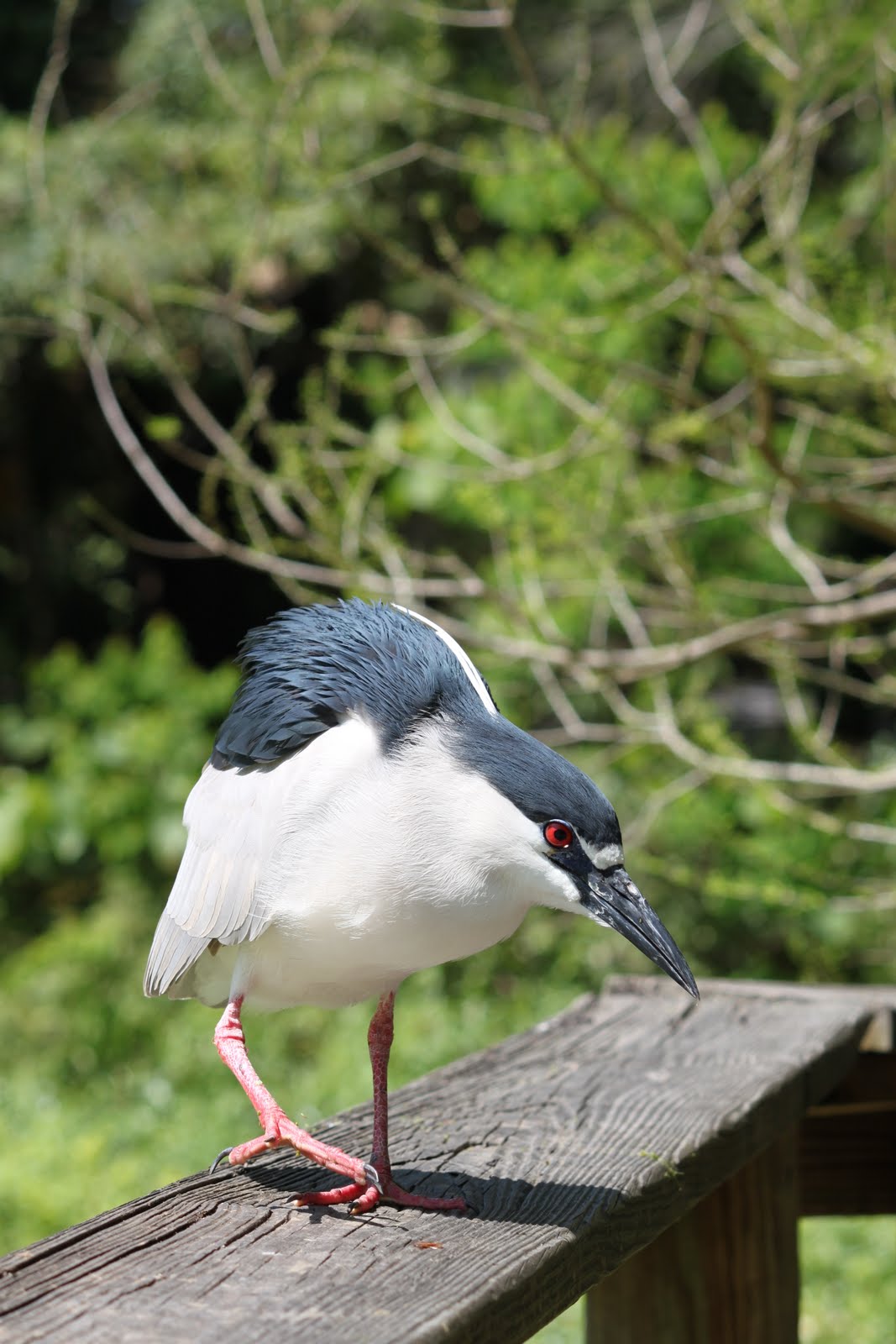 The Robertson Family: New Orleans Zoo