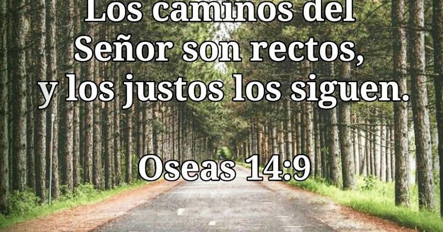 Neco Vida: Leyendo... Oseas capítulo 14