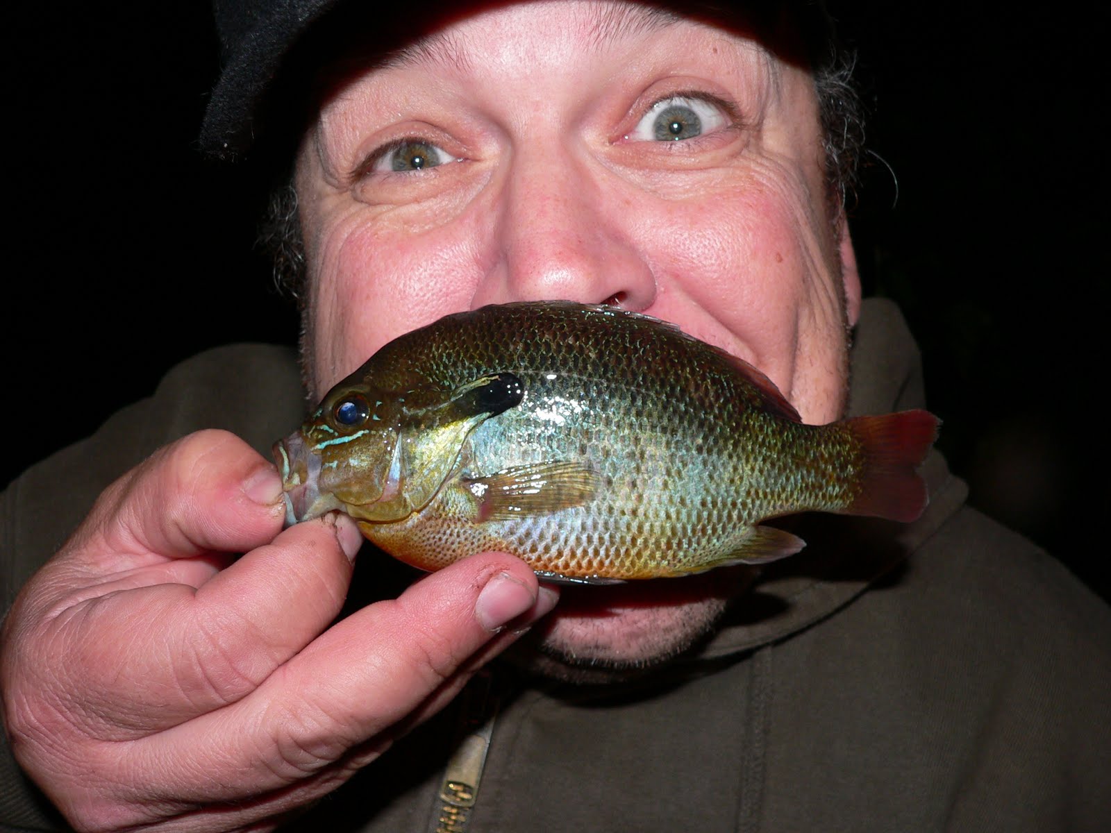 Catch-M-All: #26 redbreast sunfish