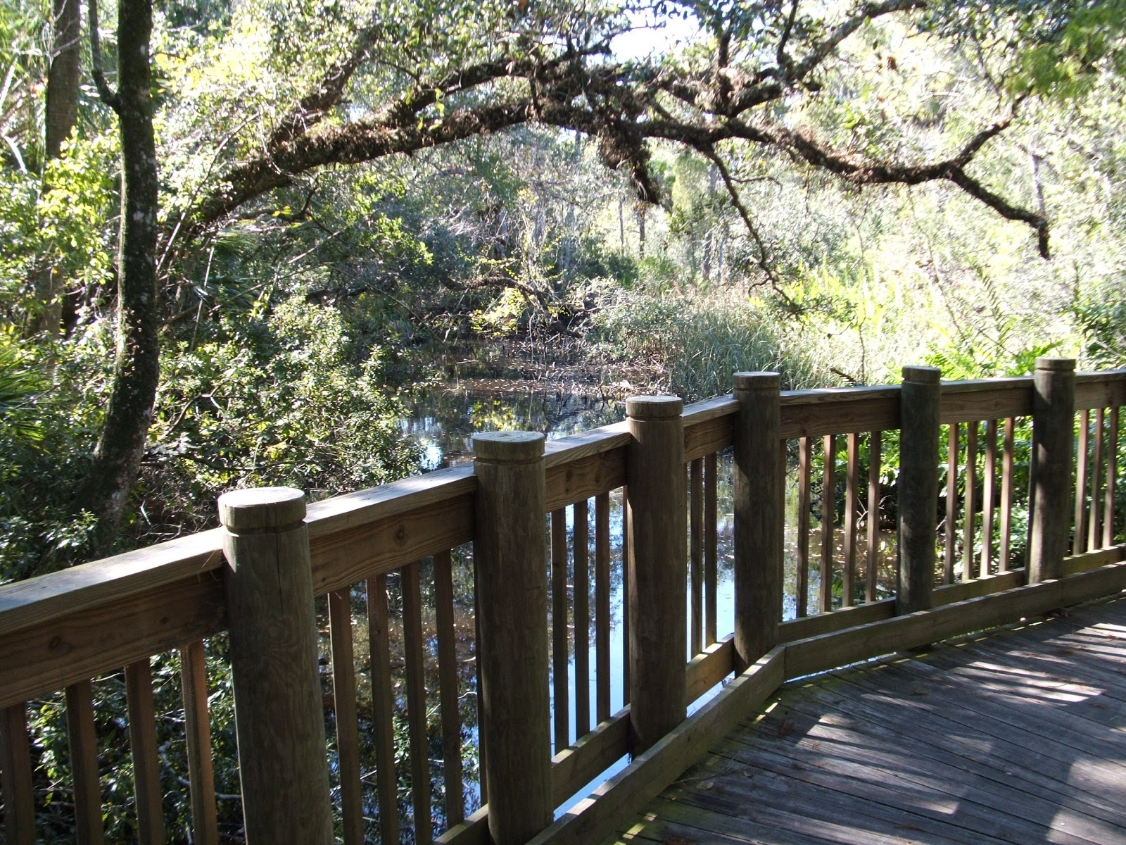 A Hikers Driving Tour