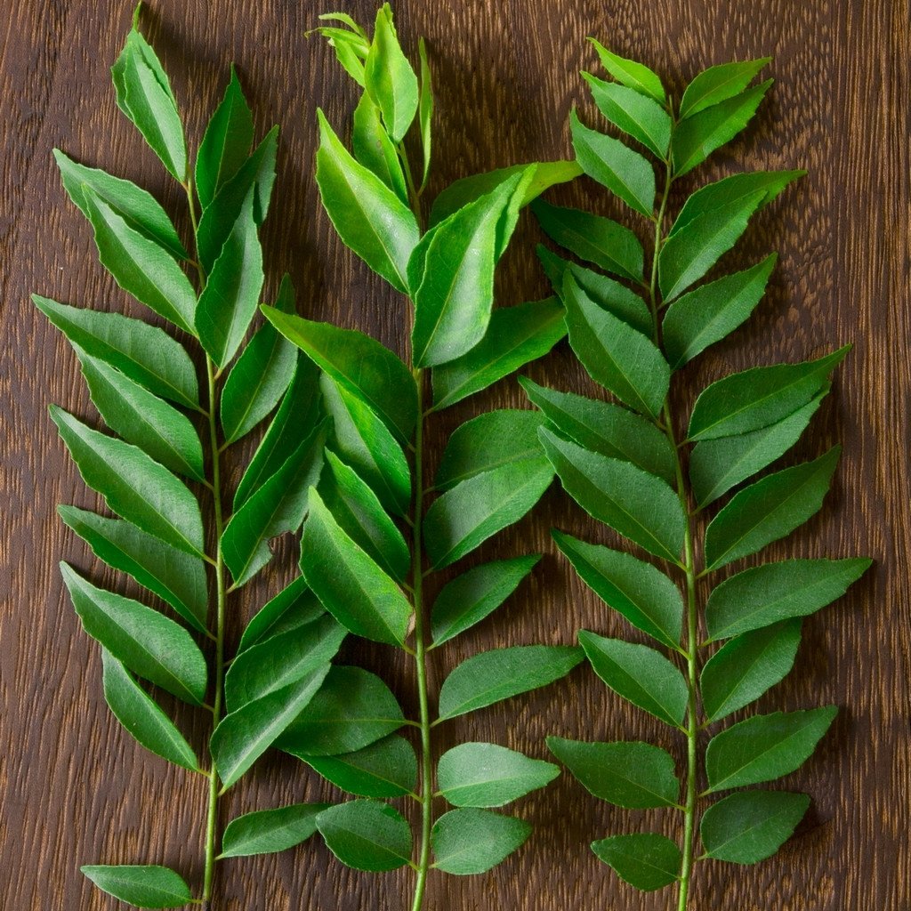 This Curry Leaf Oil Will Stop Hair Loss And Increase Hair Growth This Curry Leaf Oil Will Stop Hair Loss And Increase Hair Growth