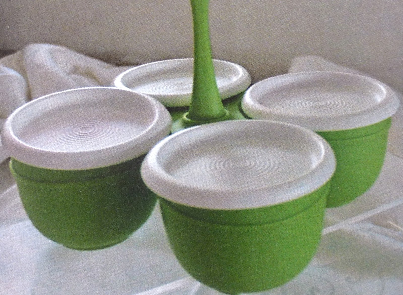 Ma cuisine Tupperware: Créme Apéritif