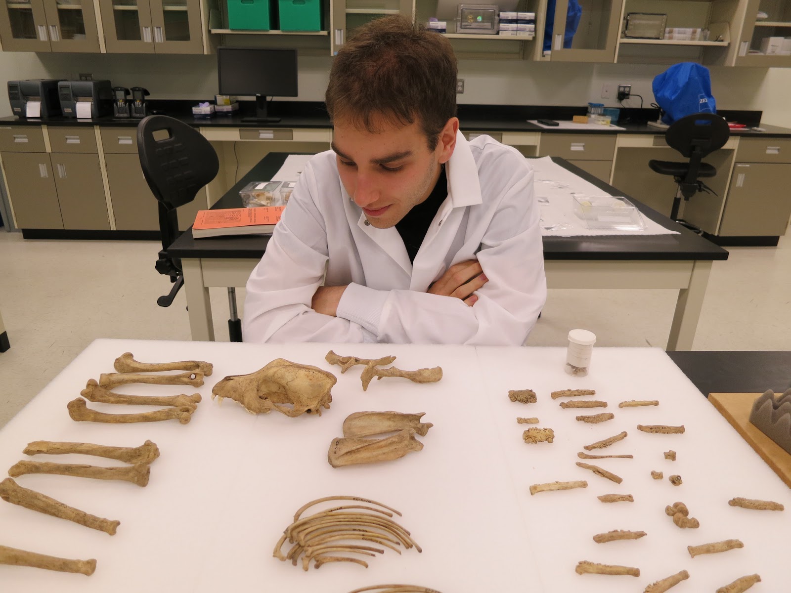 Sustainable Archaeology: Guest blog: Ancient DNA and its applications ...