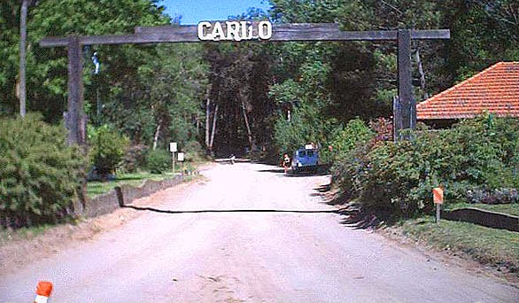 CARILÓ:un bosque inmenso encerrando un pueblo de hermosura y estilo ...