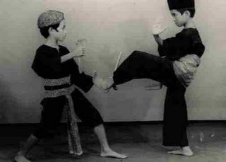 PERSATUAN SENI SILAT SENDENG MALAYSIA: PENGERTIAN SENI SILAT SENDENG