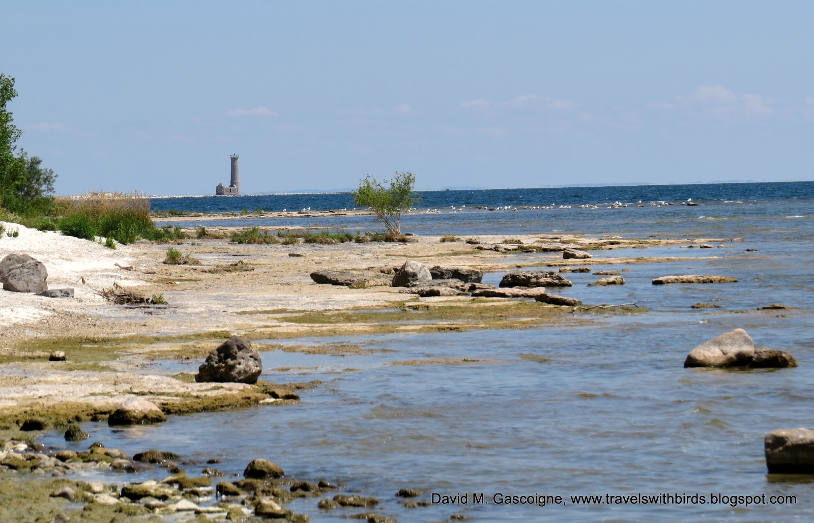 Rock Point Provincial Park - Travels With Birds