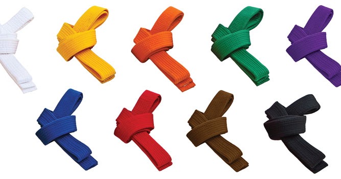 What are karate belt colors in sequence? - How to Learn Karate and ...