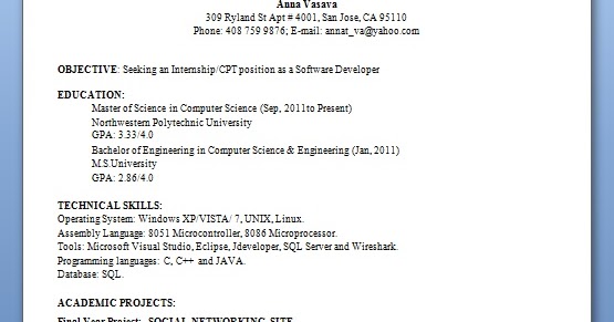Software Developer Resume Biodata Format in Word Free Download