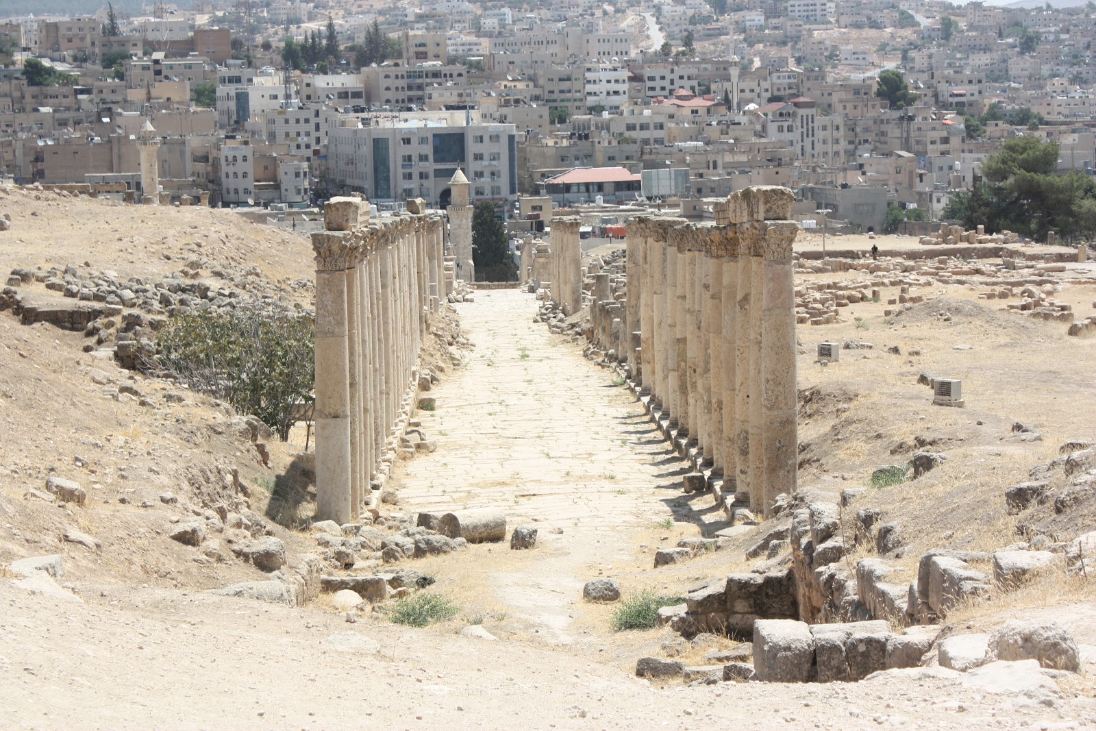 etheria: Jordania. Gerasa. Madaba