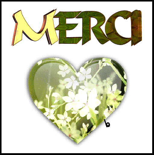 imaginianimate: multumesc