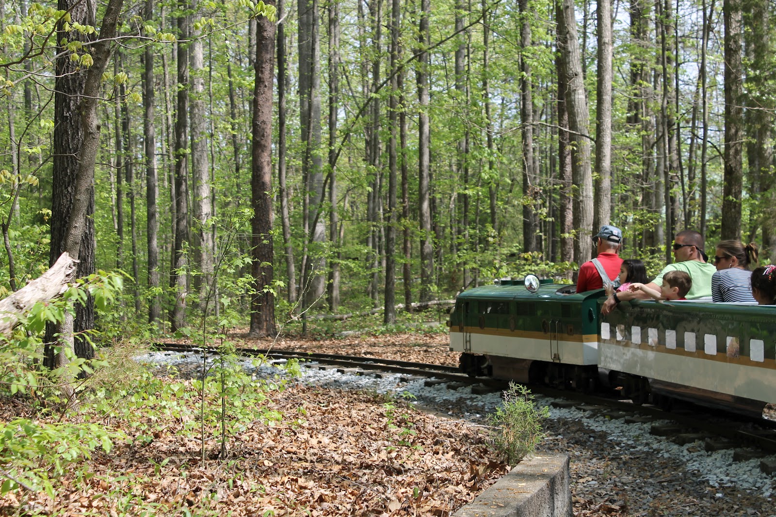 The Stickney's: Dan Nicholas Park