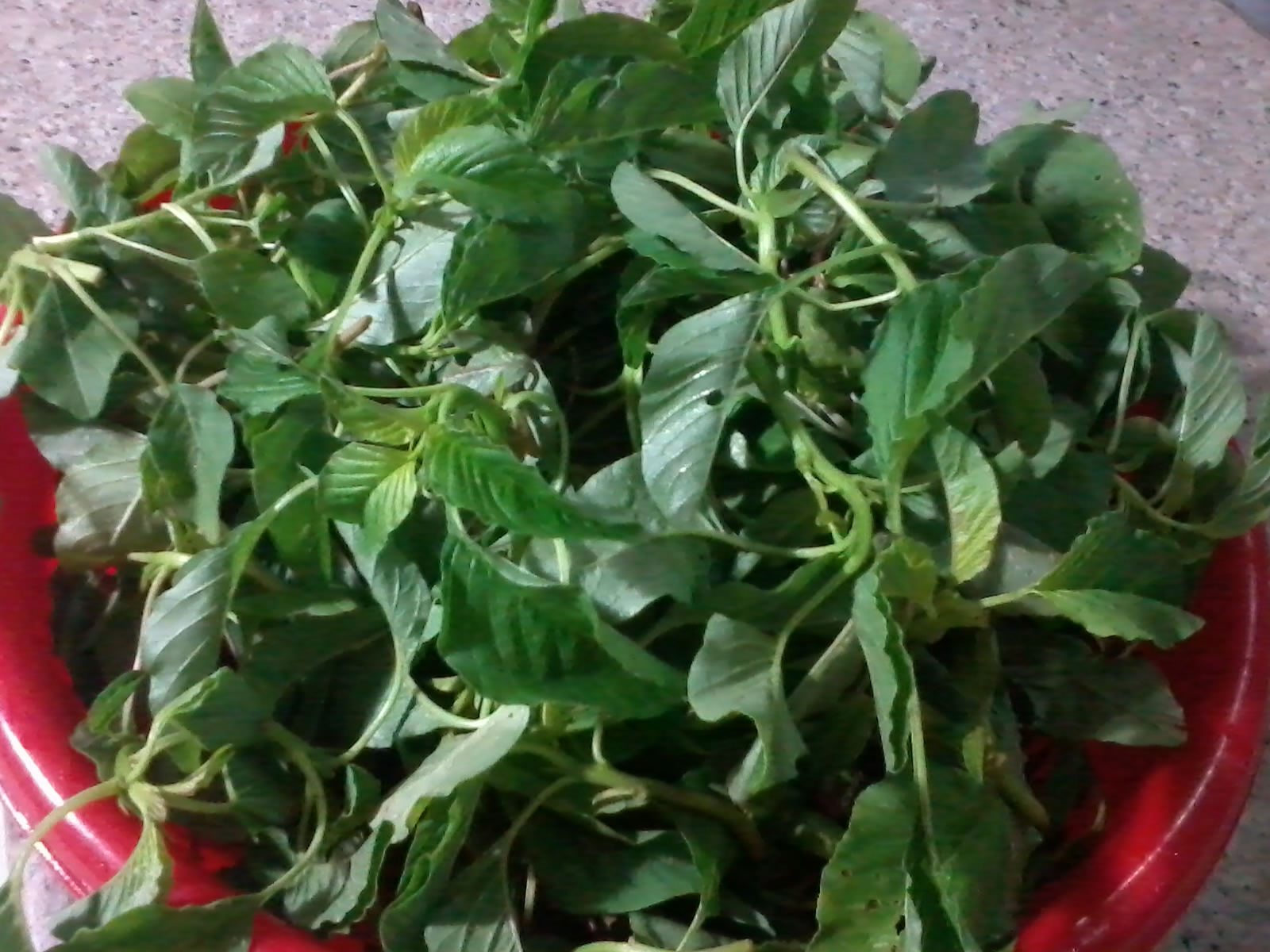 pepay's foodies and travels: Ginisang monggo with kalunay leaves